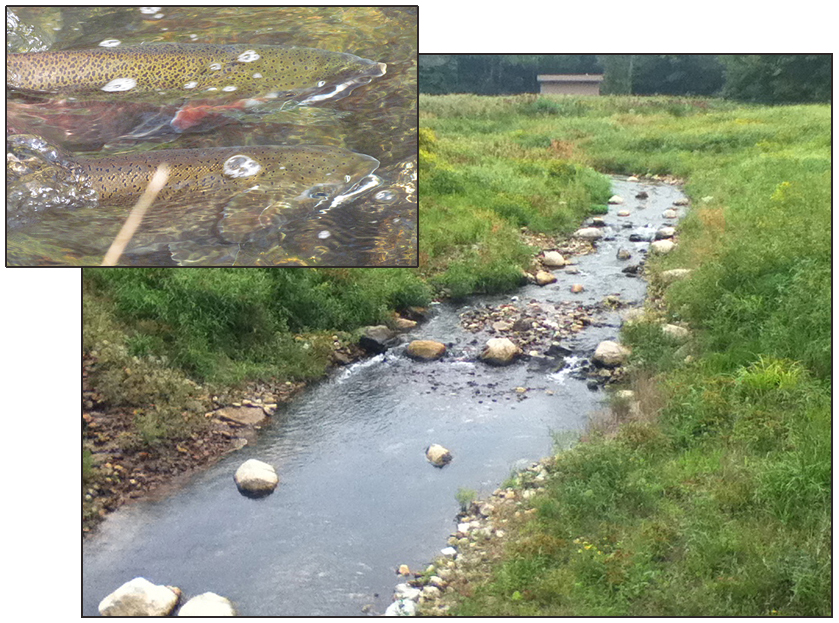 Great Lakes Fishery Commission - Fish Habitat Protection and Improvement